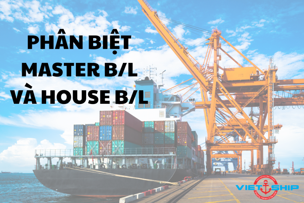 Phân biệt Master B/L và House B/L trong vận tải quốc tế